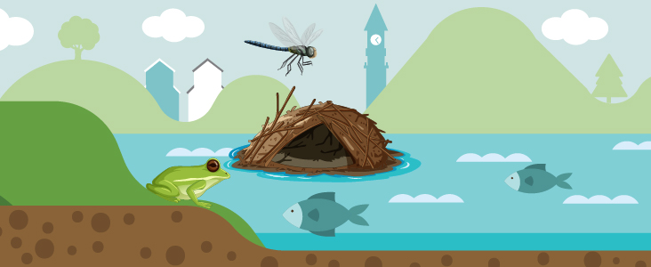 River Critters / City of St. Albert