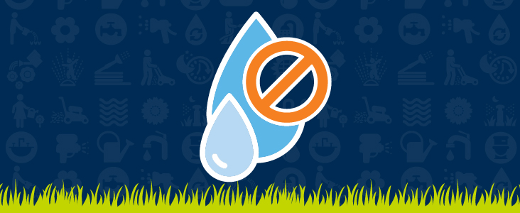 Water Demand Management Measure B / City of St. Albert