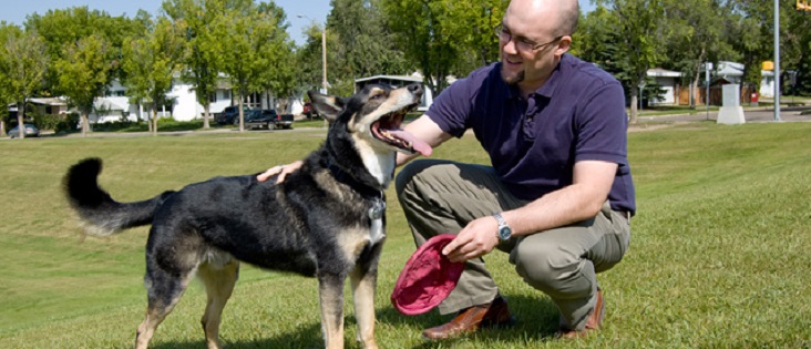 Dog Information / City of St. Albert