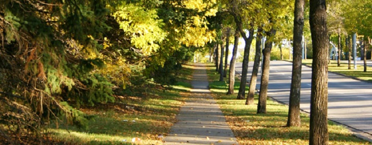 Natural Areas and Urban Biodiversity / City of St. Albert